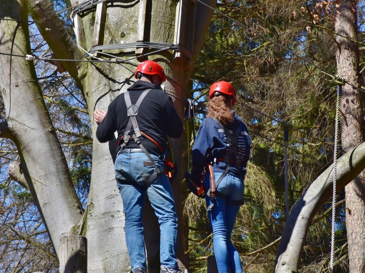 What Are Arborist Ropes To Pull Trees 